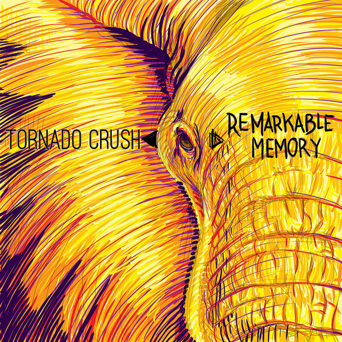 Remarkable Memory | Tornado Crush
