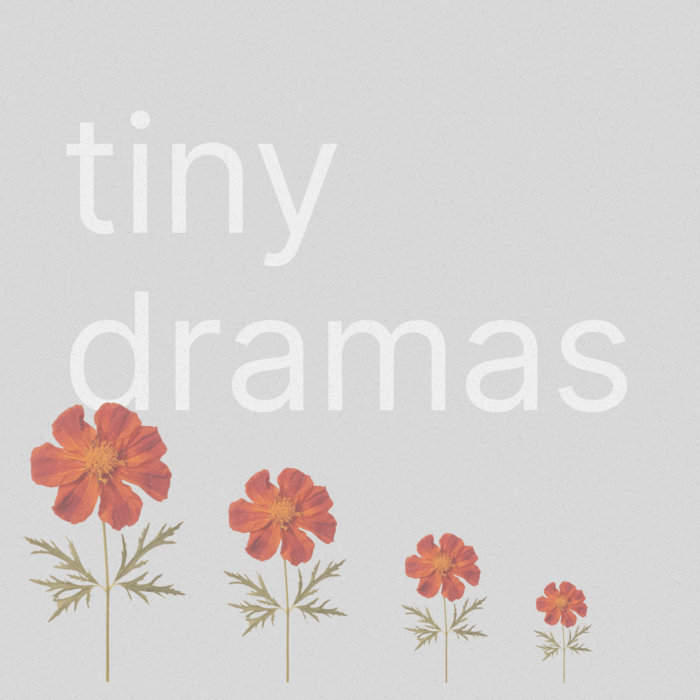 Tiny Dramas Wavebinary 2548
