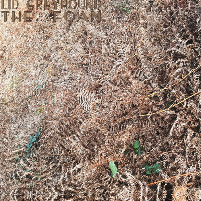 The Foam | Lid Greyhound