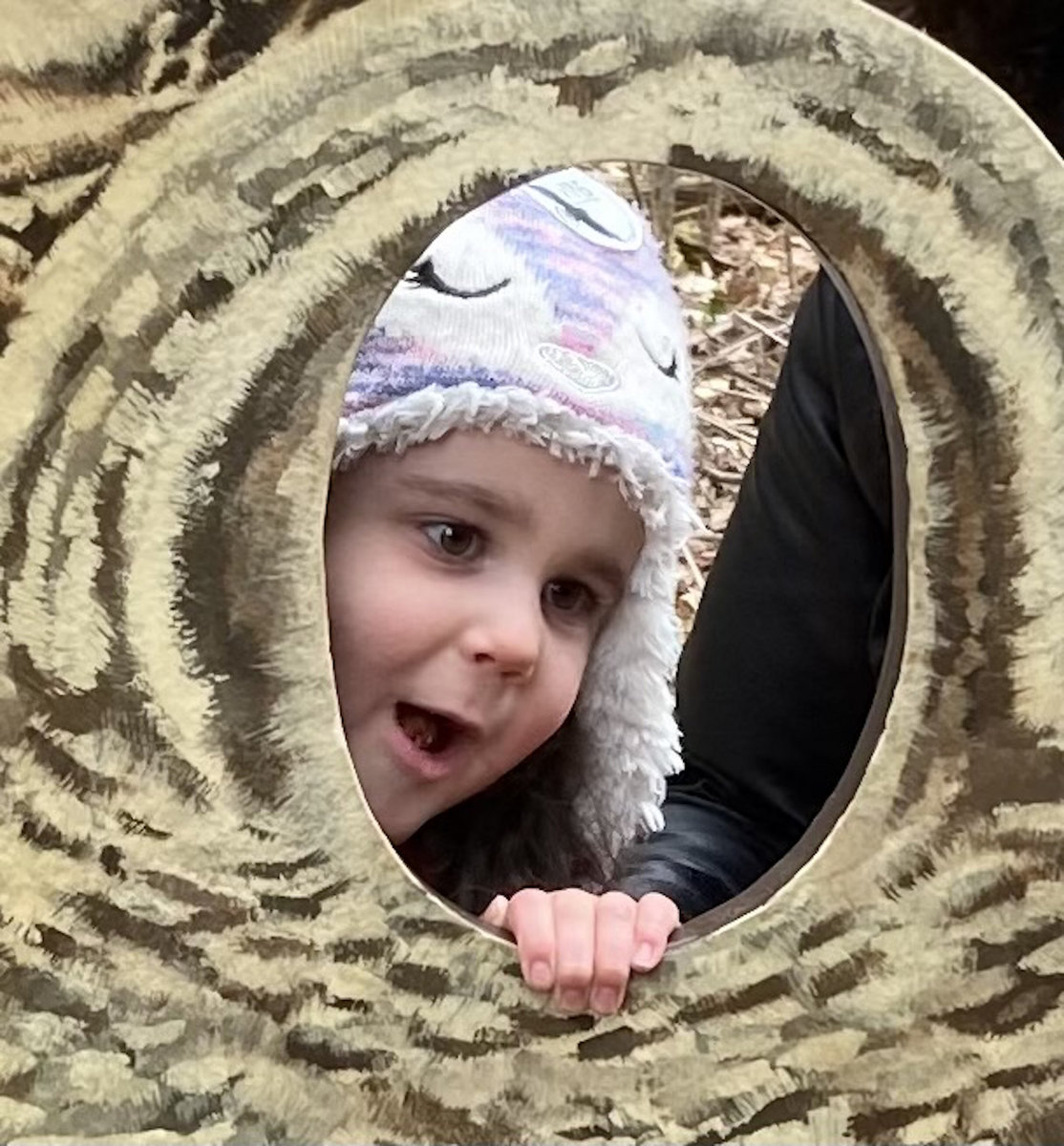 Don't Ask Me Why | Forrest Gardner