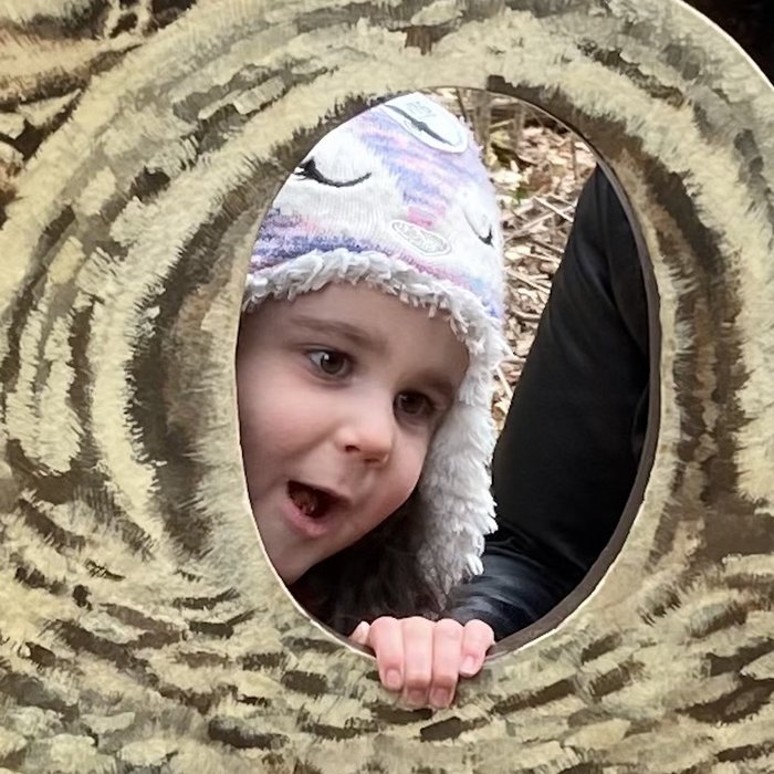 Don't Ask Me Why | Forrest Gardner