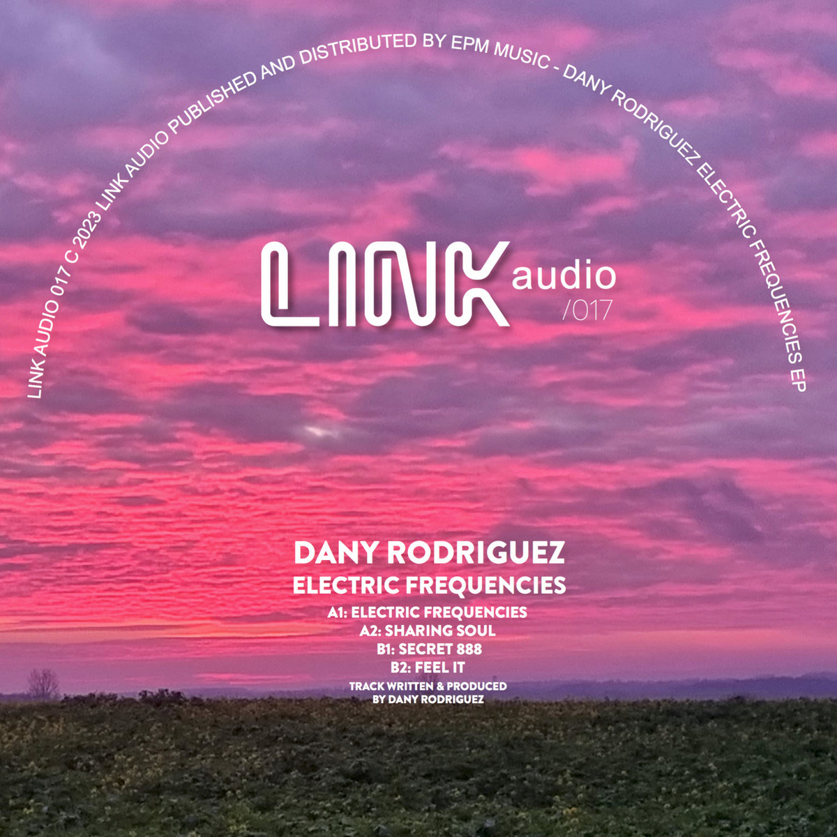 Electric Frequencies | Dany Rodriguez | LINK audio