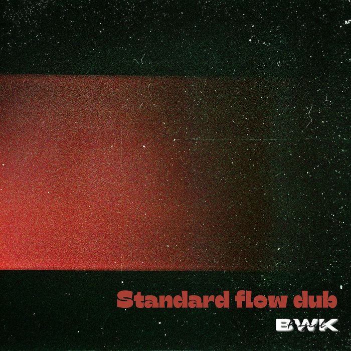Standard Flow Dub | BWK Project