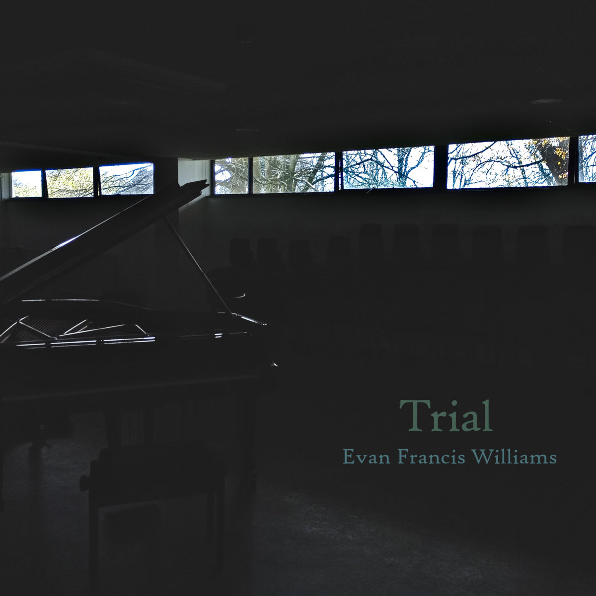 Trial | Evan Francis Williams