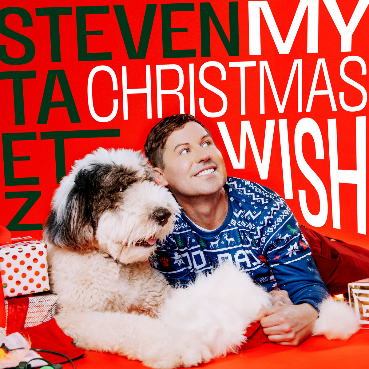 MY CHRISTMAS WISH | Steven Taetz | STEVEN TAETZ