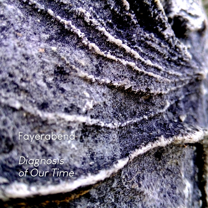 Diagnosis of Our Time | Fayerabend | Shimmering Moods Records