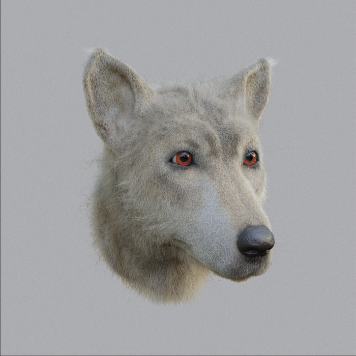 Neolithic Dog | Shjrunken Heads