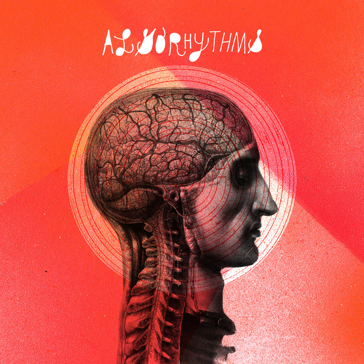 Algorhythms: Deluxe Edition | Algorhythms