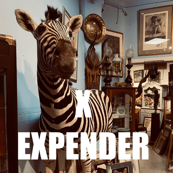 Mixtape | X Expender