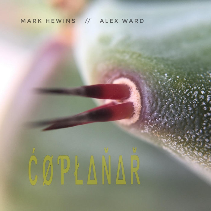 COPLANAR | Mark Hewins, Alex Ward | Mark Hewins