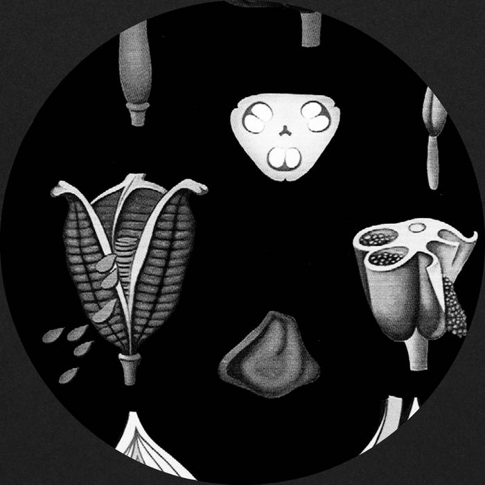 CNR042 | Carl Neuberg