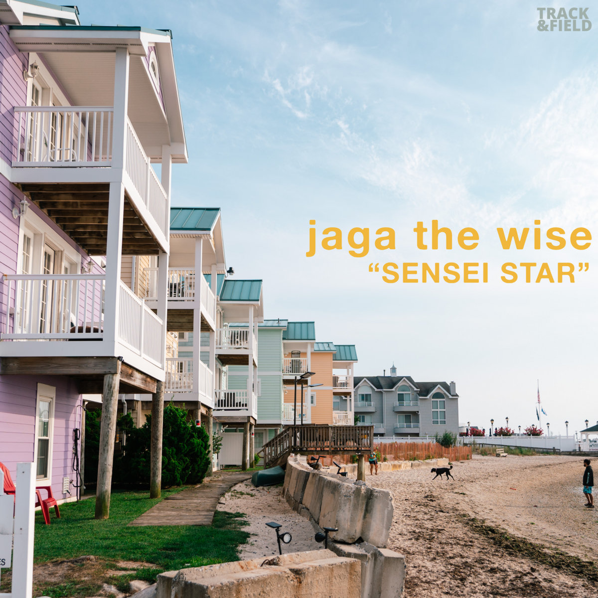 Sensei Star | Jaga the Wise
