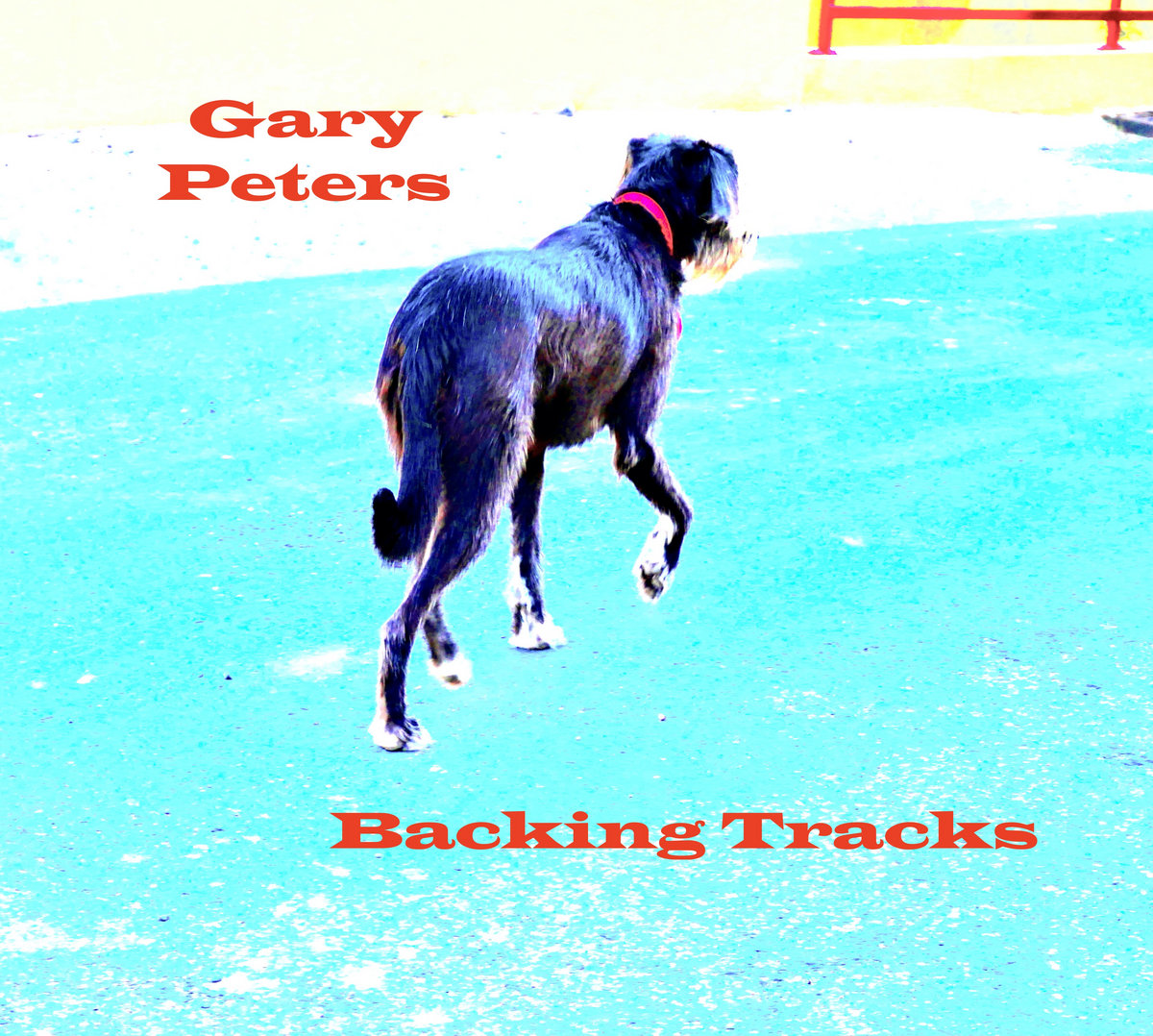 Backing Tracks | Gary Peters