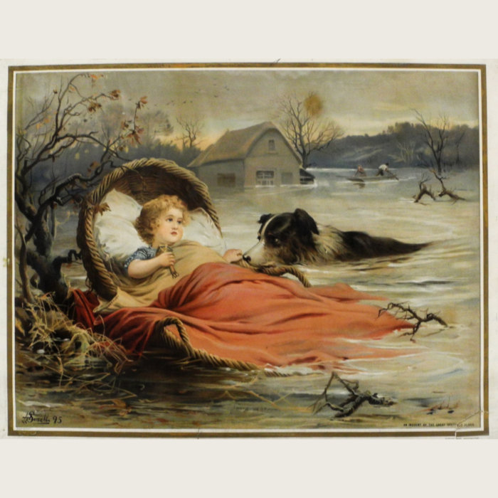 Rollo the Dog | Sean Cooney