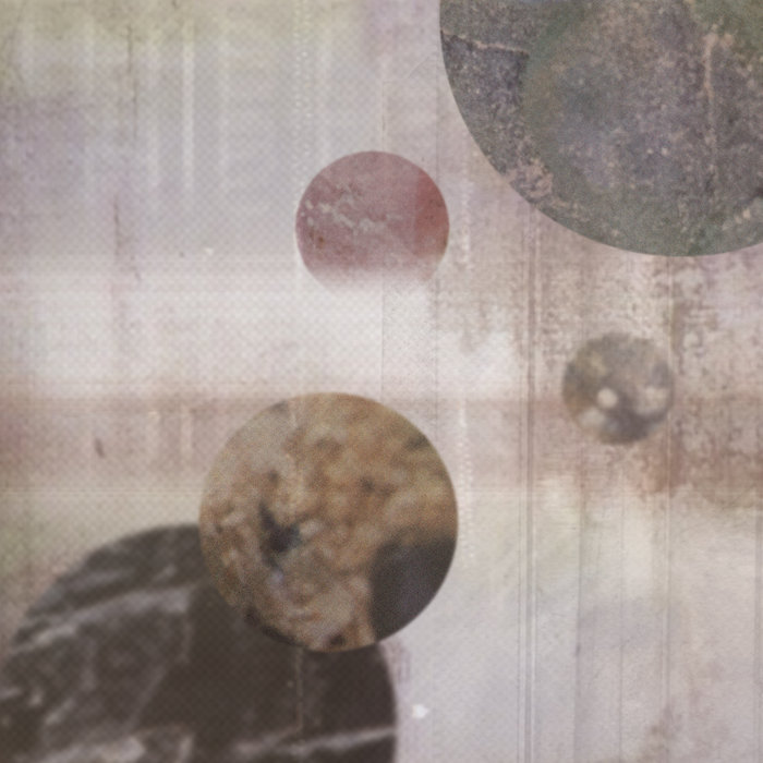 Circles | Thistle Sifter