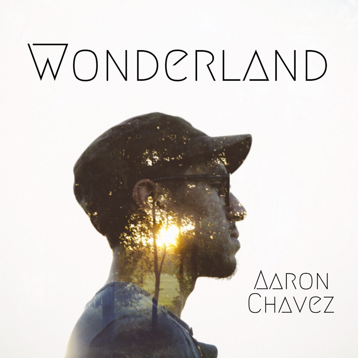 Wonderland | Aaron Chavez