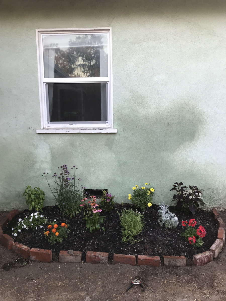 Five String Serenade | Janey