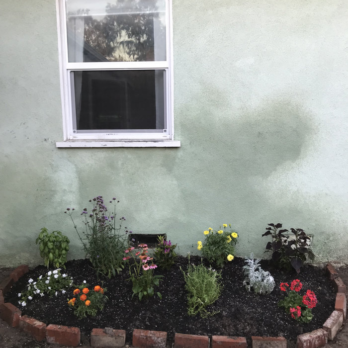 Five String Serenade | Janey