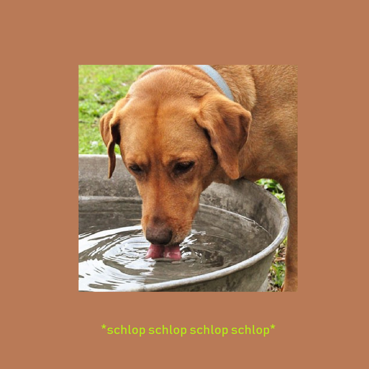 *Schlop Schlop Schlop Schlop* | Hanging Dong