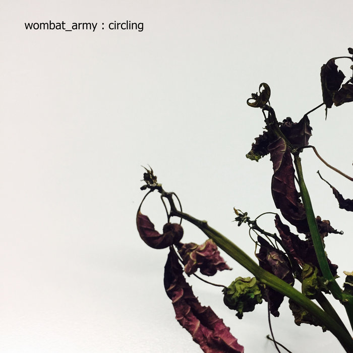circling | wombat_army