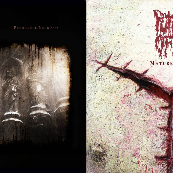 Premature Necropsy / Mature Necropsy | putrid offal