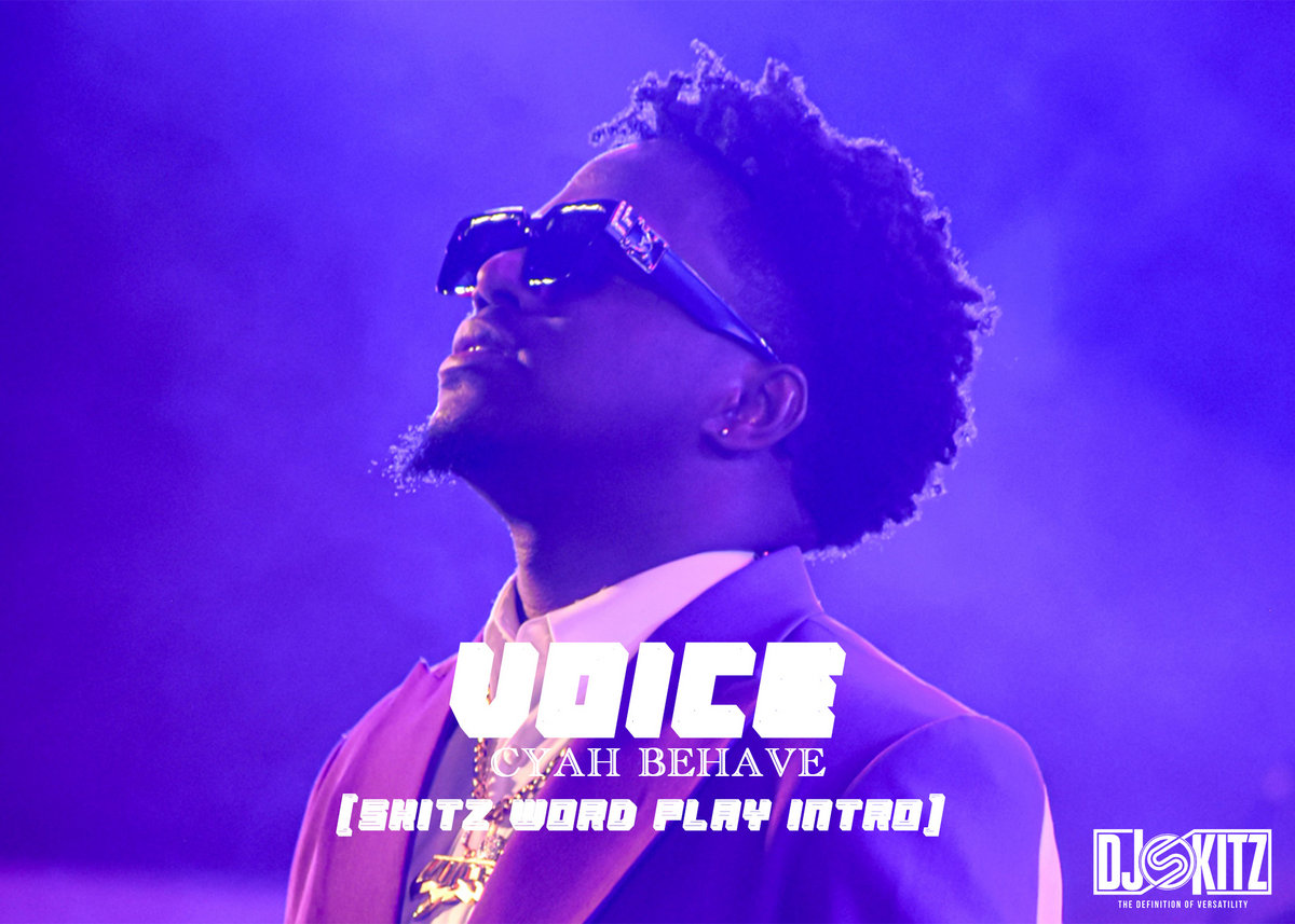 VOICE - CYAH BEHAVE (SKITZ WORDPLAY EDIT) UNPLUGGED | Thisisskitz