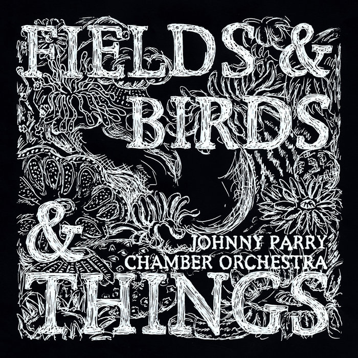 Fields & Birds & Things | Johnny Parry Chamber Orchestra | THE GRUBBY MITTS