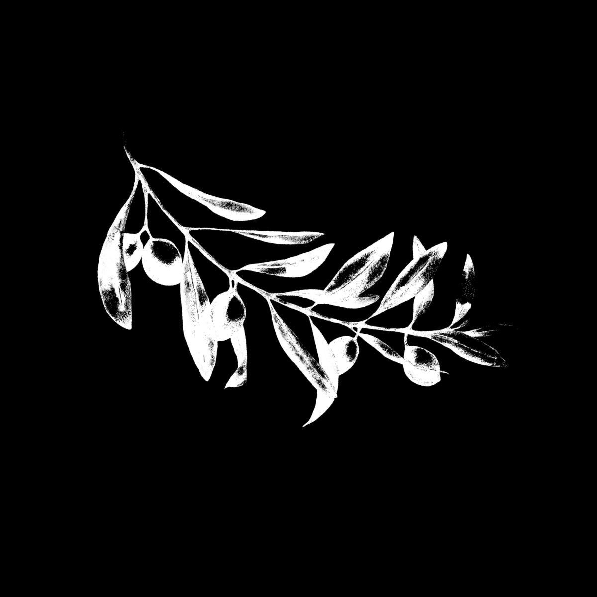 Olive Harvest Soundscapes | Sono Mayrit