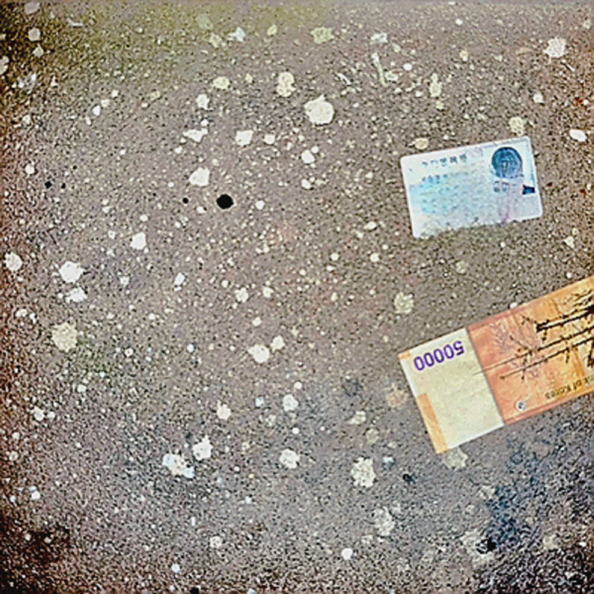 The Money Ground | Flolain