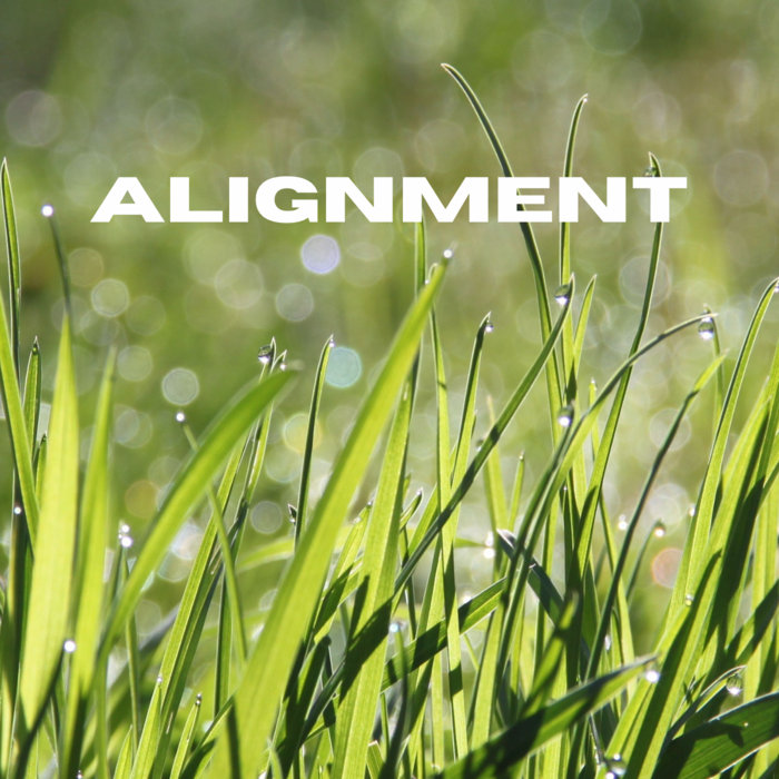 Alignment | Activation, Equanimous | Equanimous