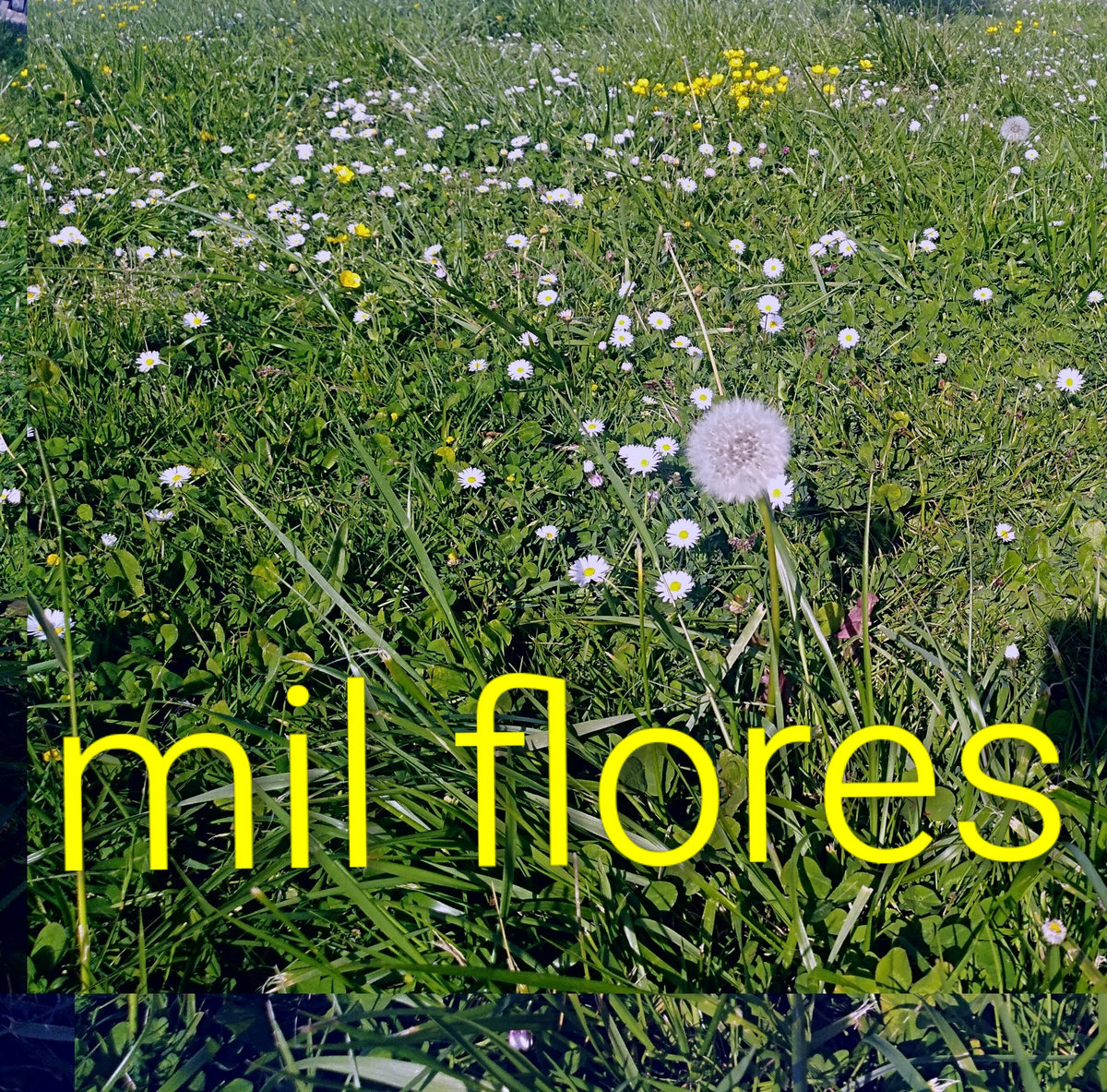 mil flores | Alvaro I. Bosco