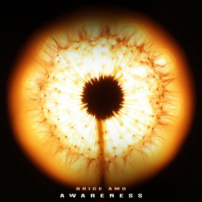 Awareness | Brice AMO