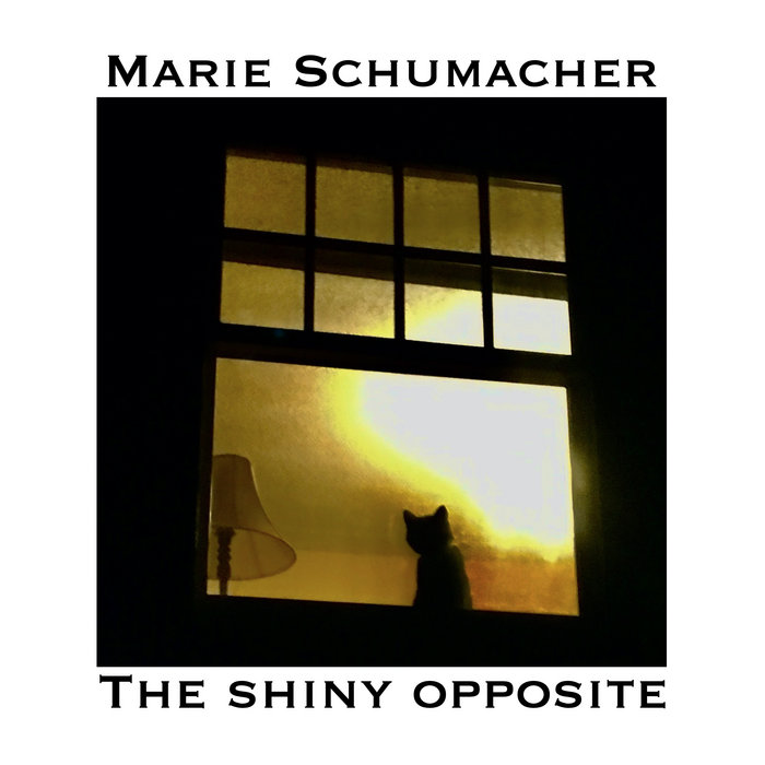 The Shiny Opposite | Marie Schumacher
