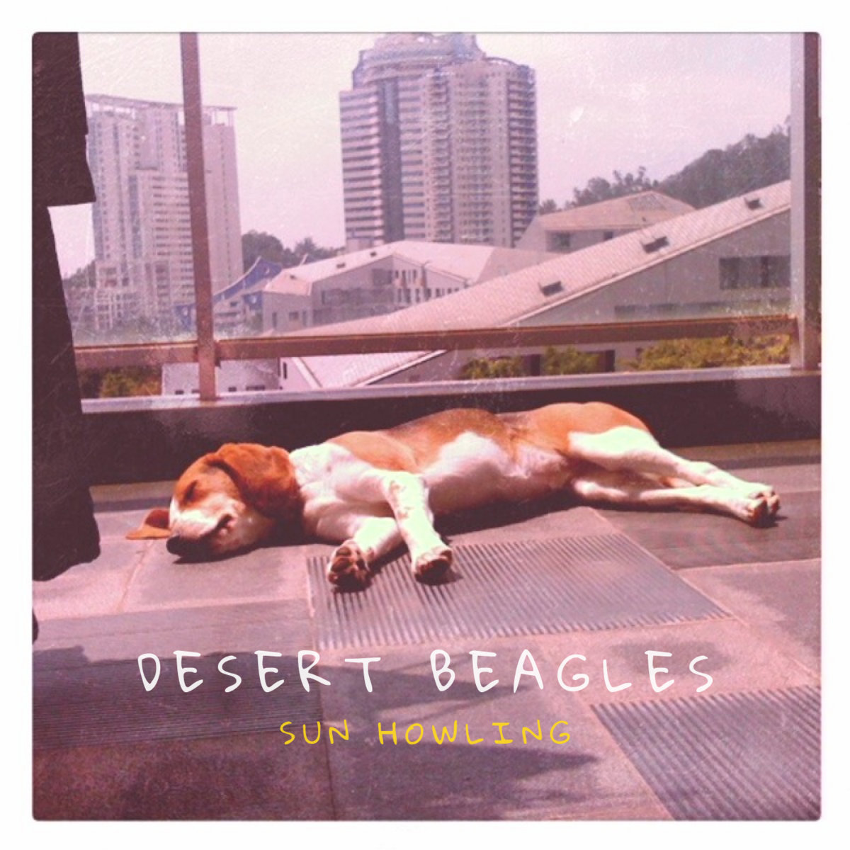 Sun Howling | Desert Beagles