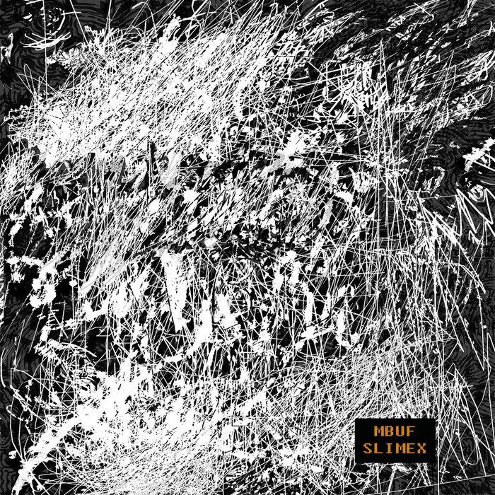 SLIMEX | M B U F 2021