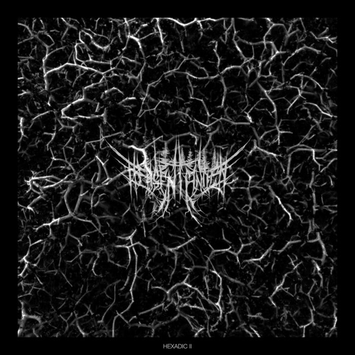 Hexadic II | Heksentanden