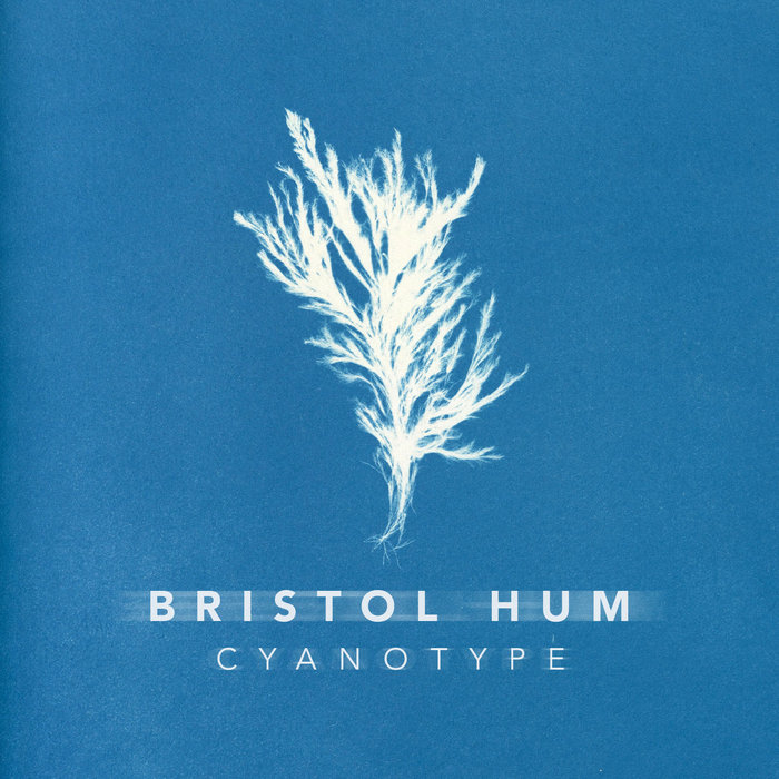 Cyanotype (Demos) | Bristol Hum | The Lambhouse Almanack