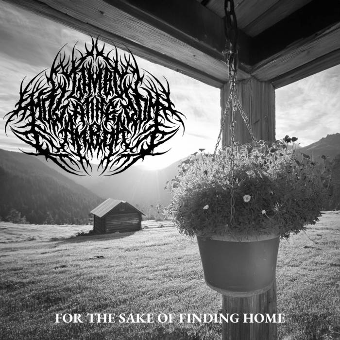 For the Sake of Finding Home | Limbo at the Mogambo Room