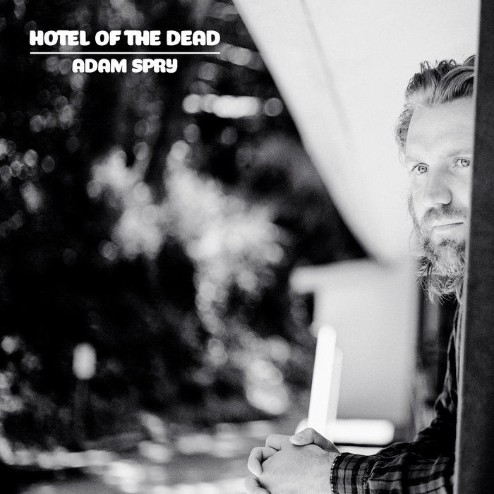 Hotel Of The Dead | Adam Spry