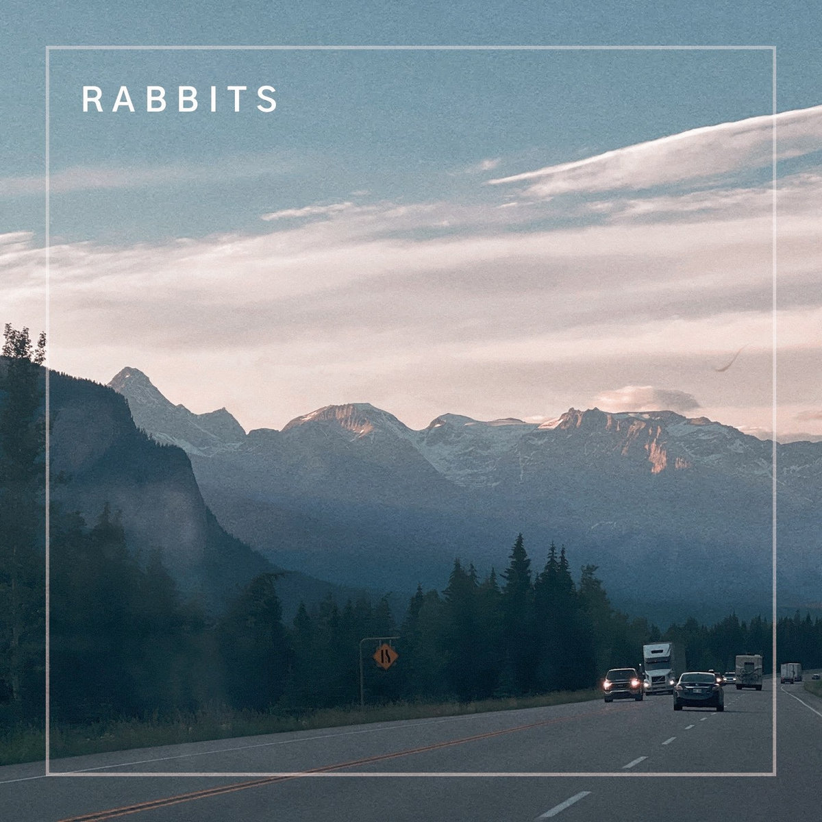 Rabbits | Alanna Matty