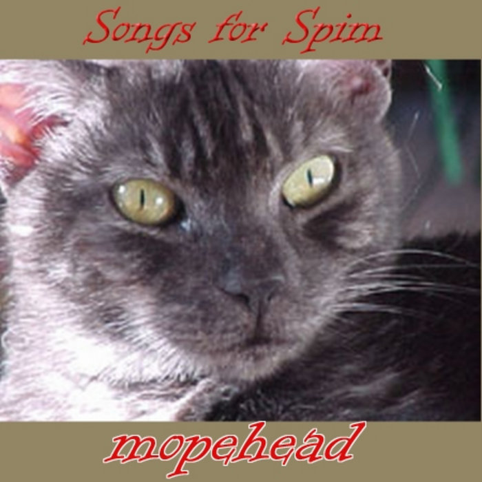 Songs for Spim | mopehead