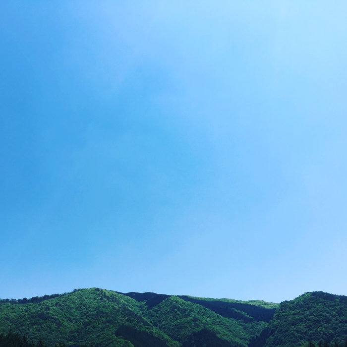 Ascension / Descension | Gallery Six