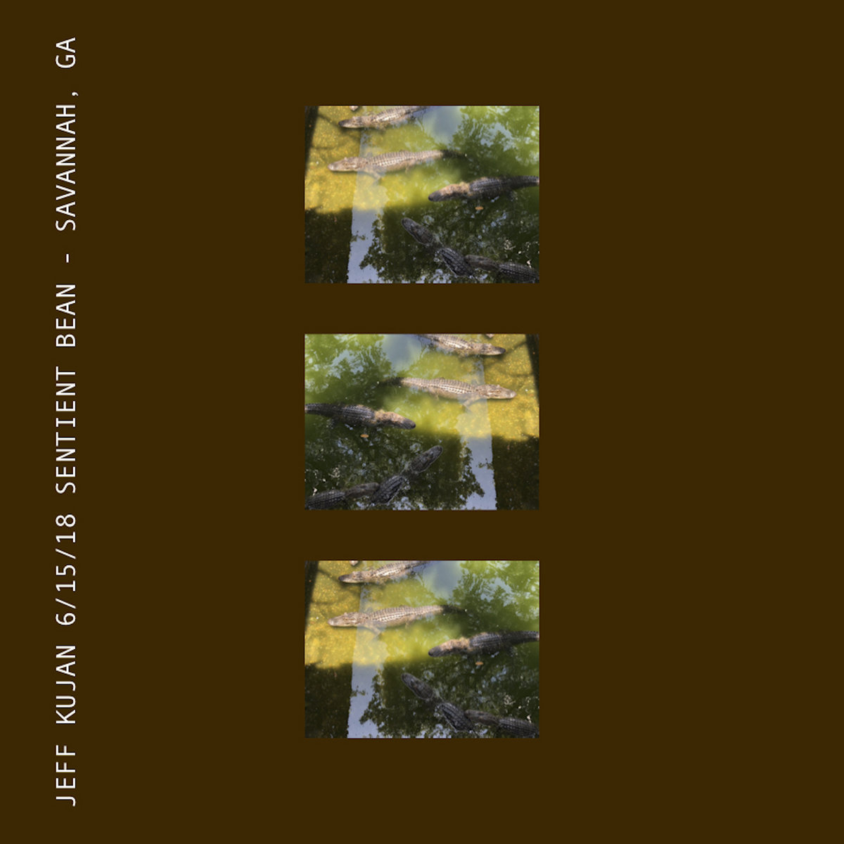 Neighbors | Jeff Kujan