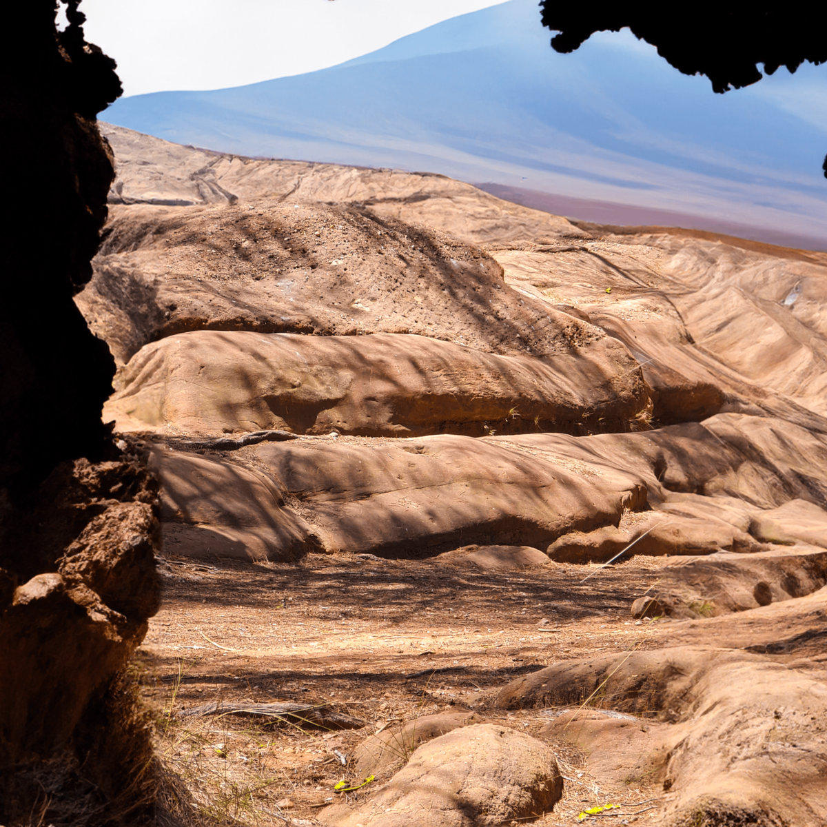 Realidad | Volcanic Field | xenonyms