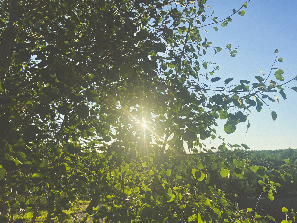 soft breeze | lurp sheets