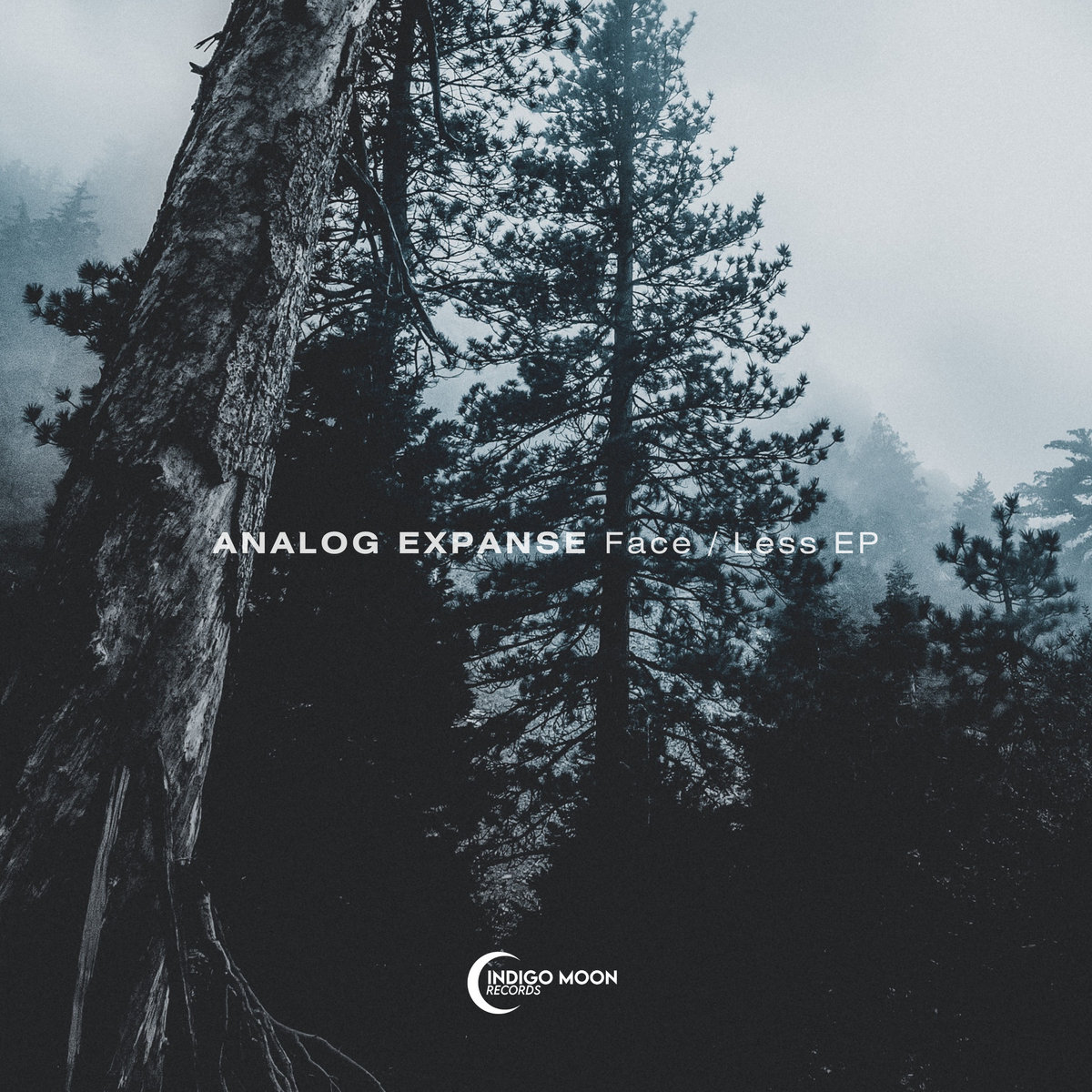 Face / Less | Analog Expanse | Indigo Moon Records