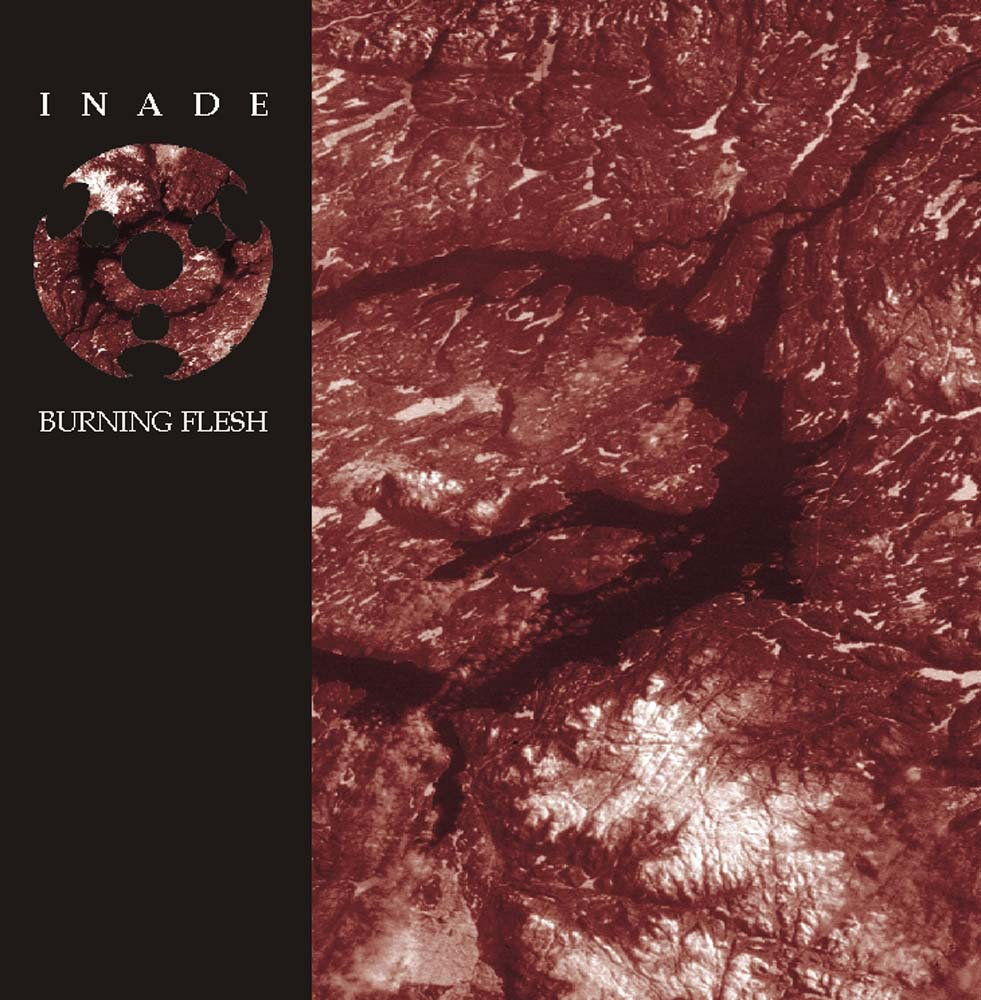 Burning Flesh | INADE | loki-found