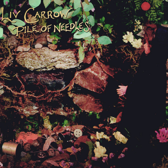 Pile of Needles | Liv Carrow
