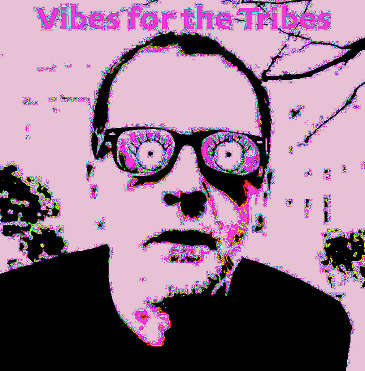 Vibes for the Tribes | Nick Flowers | The Qwarks