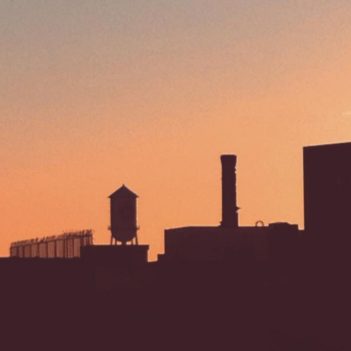 no bliss | flower petal mosaic